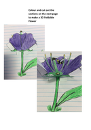 Plant reproduction, parts of the flower (cross section) 3D foldable ...