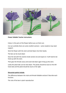 Plant reproduction, parts of the flower (cross section) 3D foldable ...