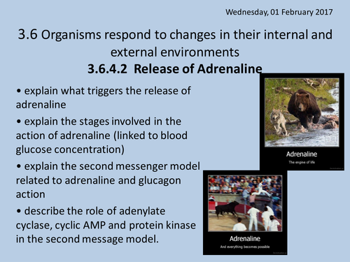 NEW AQA A2 BIOLOGY UNIT 6 - Organisms respond to changes in their ...