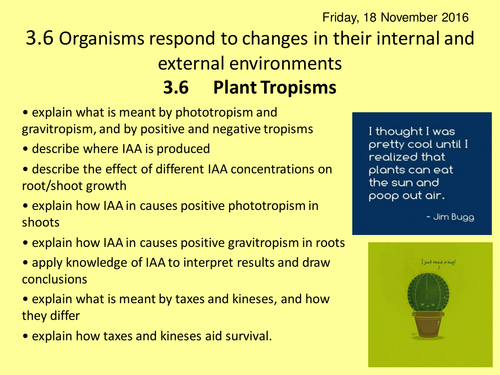 NEW AQA A2 BIOLOGY UNIT 6 - Organisms respond to changes in their ...