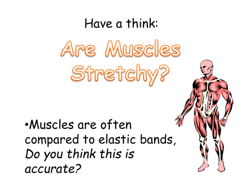 KS3 - Muscles & Movement | Teaching Resources KS3 - Muscles & Movement | Teaching Resources