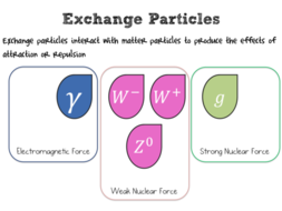 Particle Physics Displays and Presentations - Particle Zoo, Feynman ...