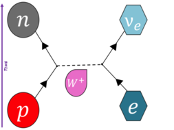 Particle Physics Displays and Presentations - Particle Zoo, Feynman ...