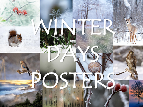 Winter Posters | Teaching Resources