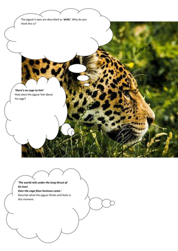 Poetry - The Jaguar by Ted Hughes | Teaching Resources