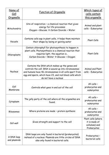 Cells WHOLE LESSON, plant animal and bacteria - new AQA GCSE 2016 ...