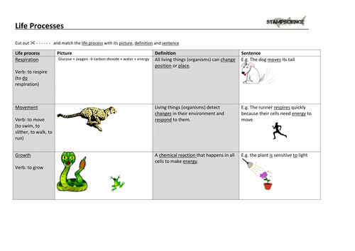 Life processes EAL worksheets | Teaching Resources