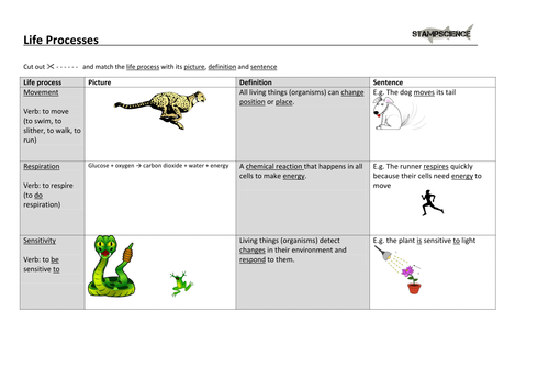 Life processes EAL worksheets | Teaching Resources