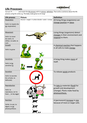 Life processes EAL worksheets | Teaching Resources