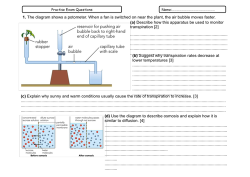 B2.21 Water Transport GCSE Biology | Teaching Resources