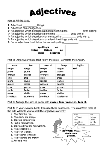 French worksheet about adjectives | Teaching Resources