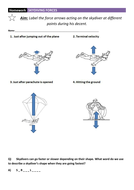 Lesson 4 - KS3 Forces - Air Resistance by Mister_Dawg - Teaching ...