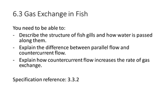 New AQA AS Biology 6.3 Gas Exchange in Fish | Teaching Resources