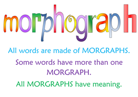 Morphograph definition | Teaching Resources