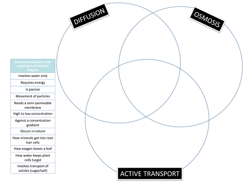 Active Transport Lesson - powerpoint, worksheet and plenary comparing ...