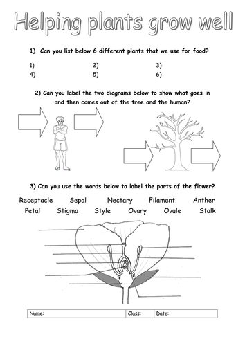 Science end of unit tests KS2 | Teaching Resources