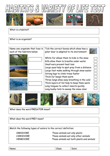 Science end of unit tests KS2 | Teaching Resources