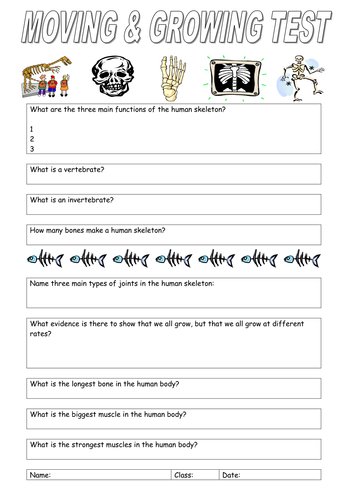 Science end of unit tests KS2 | Teaching Resources