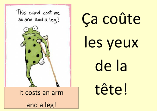 French Idioms display posters set 1 | Teaching Resources