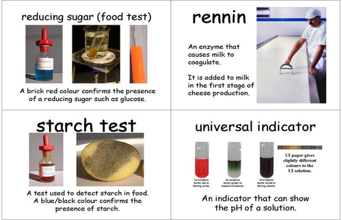Food Wordwall 15 - Food Science | Teaching Resources
