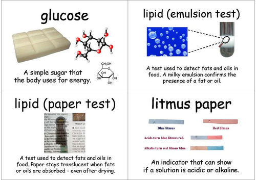 Food Wordwall 15 - Food Science | Teaching Resources