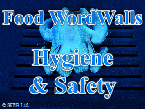 Food Wordwall 16 - Hygiene and Safety | Teaching Resources