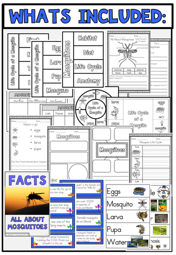 All About Mosquitoes Life Cycle and more | Teaching Resources