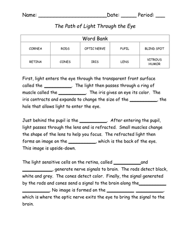 Path of Light Through the Eye Cloze Paragraph | Teaching Resources