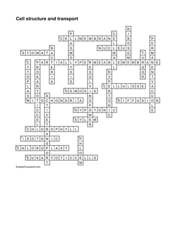 AQA GCSE Biology - B1 - Cell Structure and Transport Keyword Collection ...