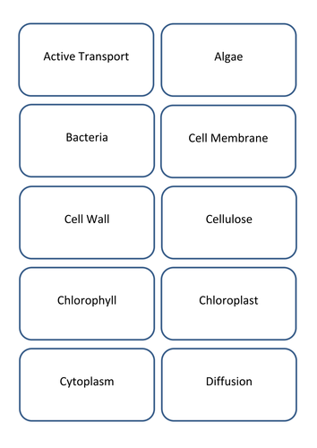 AQA GCSE Biology - B1 - Cell Structure and Transport Keyword Collection ...