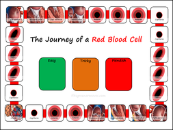 Journey of a red blood cell board game | Teaching Resources