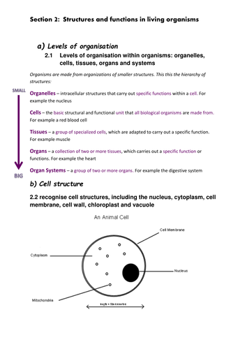 IGCSE Biology revision notes | Teaching Resources