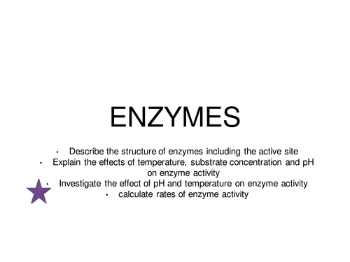 Enzymes lesson | Teaching Resources