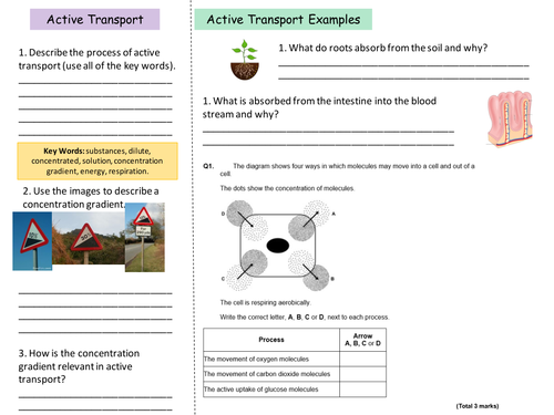 NEW AQA B1 - Diffusion and Active Transport | Teaching Resources