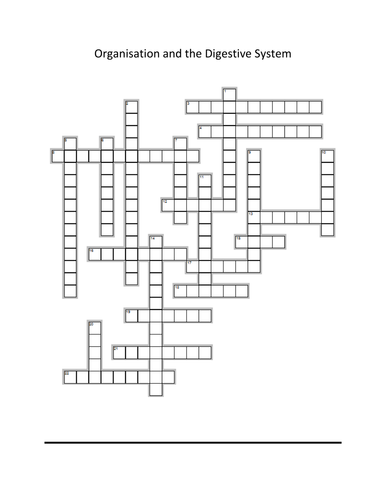 AQA GCSE Biology - B3 - Organisation and the Digestive System Keyword ...