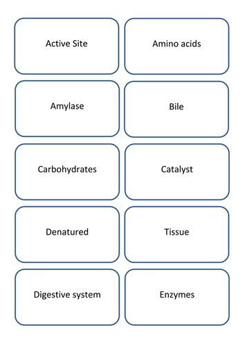 AQA GCSE Biology - B3 - Organisation and the Digestive System Keyword ...