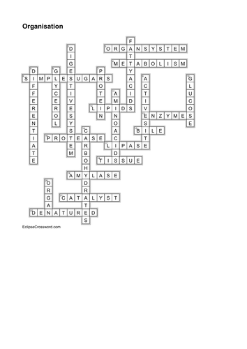 AQA GCSE Biology - B3 - Organisation and the Digestive System Keyword ...