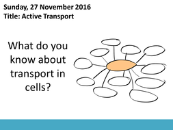 AQA GCSE B1 Cell Structure and Transport - Active Transport Lesson. | Teaching Resources