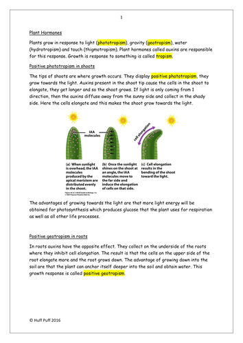 Plant Hormones | Teaching Resources