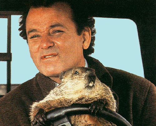 "Groundhog Day" COMPLETE UNIT EDITABLE Activities,Analysis,Tests,Essays ...
