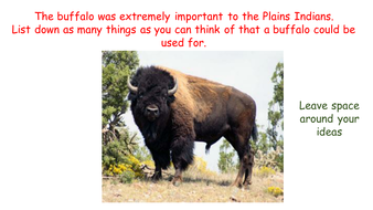 Importance of the buffalo to the Plains Indians | Teaching Resources