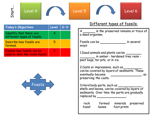Fossils | Teaching Resources