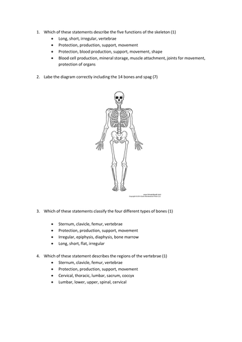 NEW GCSE PE SPEC Fitness and Body Systems whole unit with resources ...
