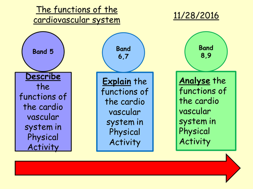 NEW GCSE PE SPEC Fitness and Body Systems whole unit with resources ...