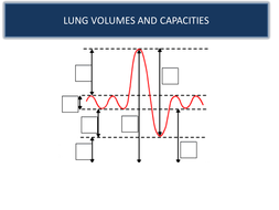 Lung volumes and capacities - interpreting a spirometer trace GCSE PE ...