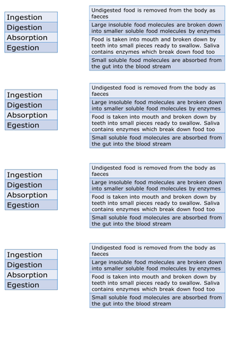 Health & Diet: The human digestive system (KS3 Activate) | Teaching ...
