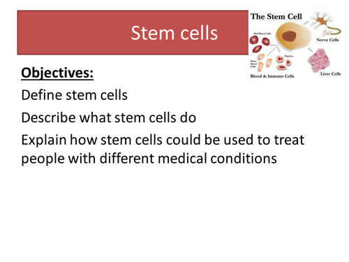 Stem cells New GCSE Biology AQA | Teaching Resources