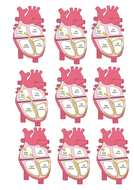 Heart, Vessels, Pacemaker, WHOLE LESSON resources - GCSE New 2016 ...