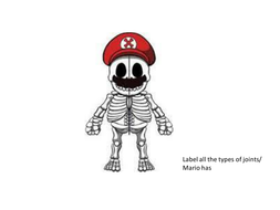 Mario Joint labelling | Teaching Resources