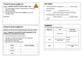 Testing for negative ions | Teaching Resources